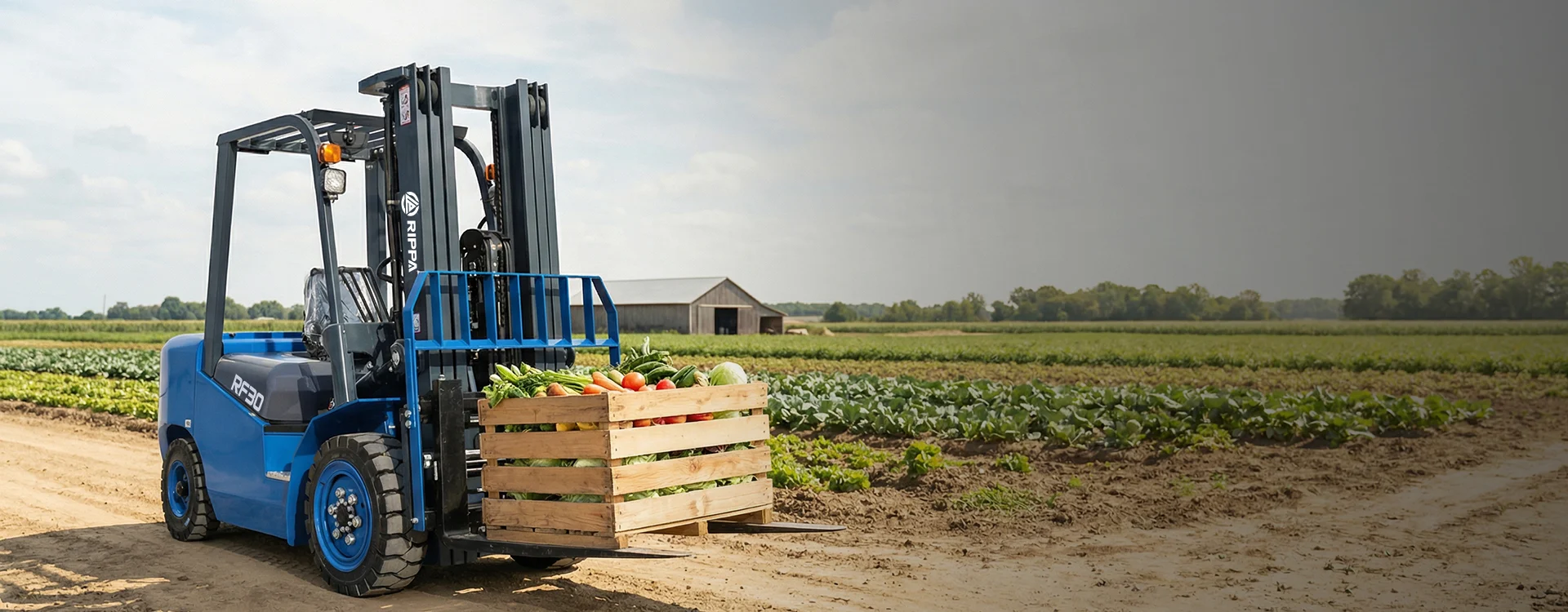 Rippa Forklift – Chinese Mini Excavator-Mini Skid Steer Loader-Rippa ...